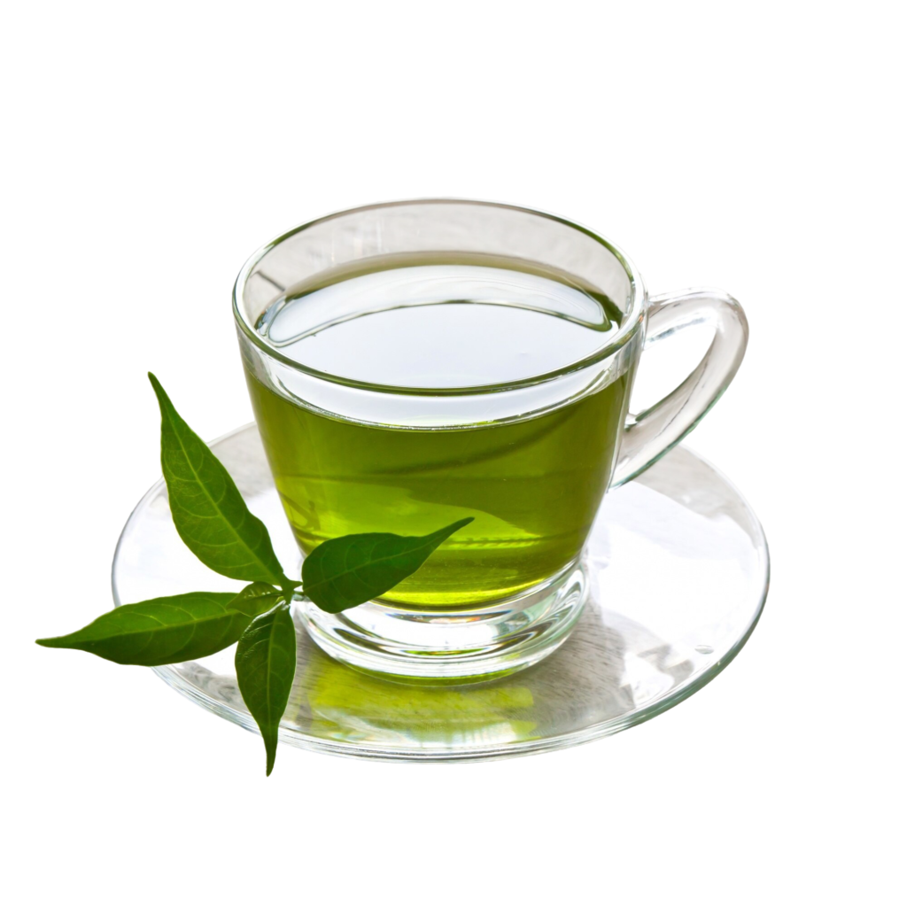 Home - Shandis Lifechanging Holdings