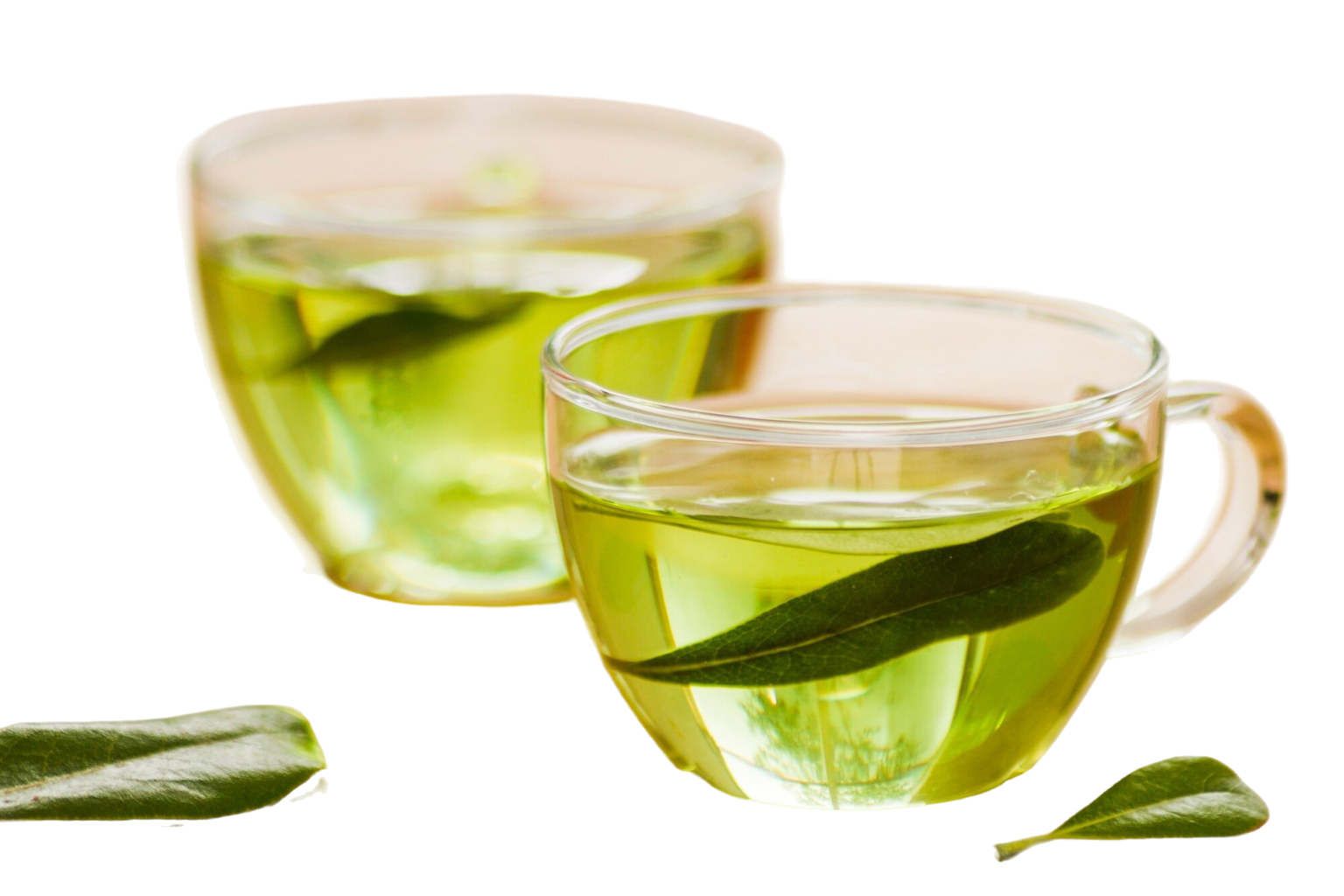 Home - Shandis Lifechanging Holdings